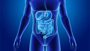 SET2LEARN: All courses